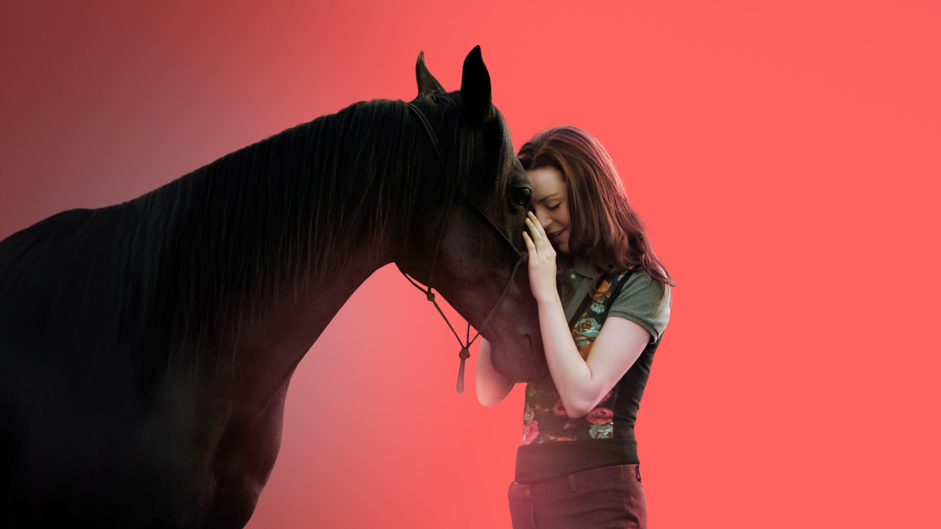 Flicka: Country Pride on Disney+ South Africa | English French ...