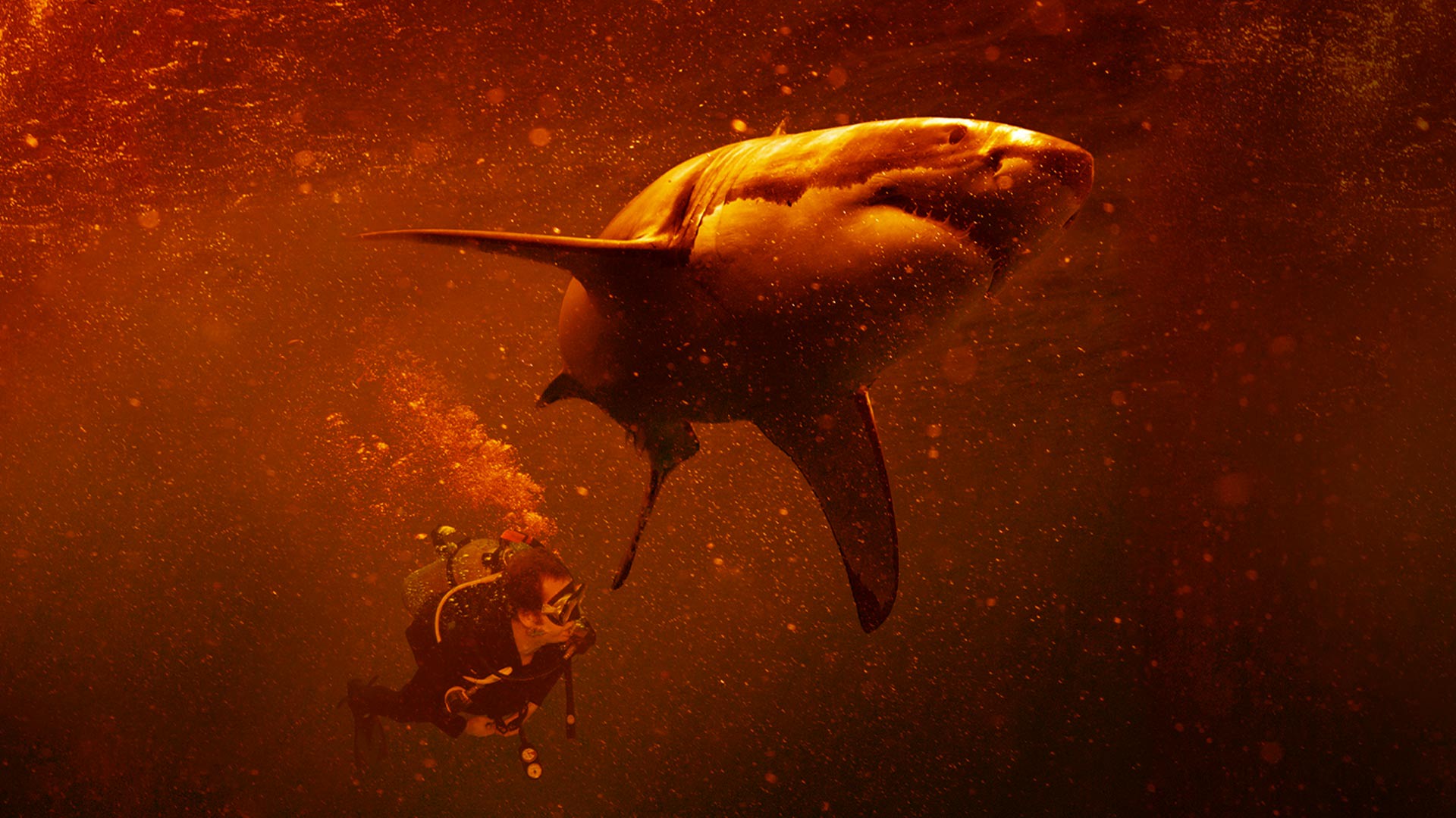 Sharkcano: Hawaii - Disney+