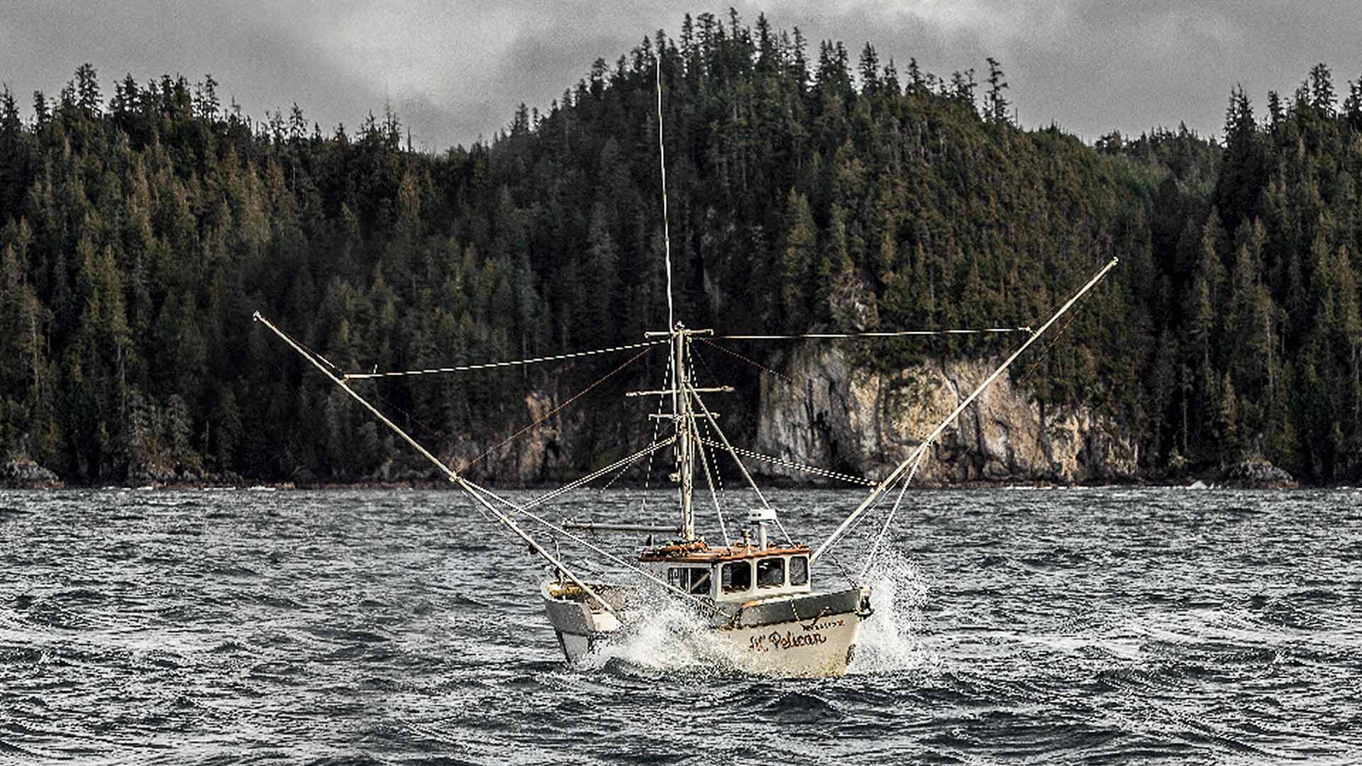 Port Protection Alaska Reality Series, now streaming on Disney+ Hotstar