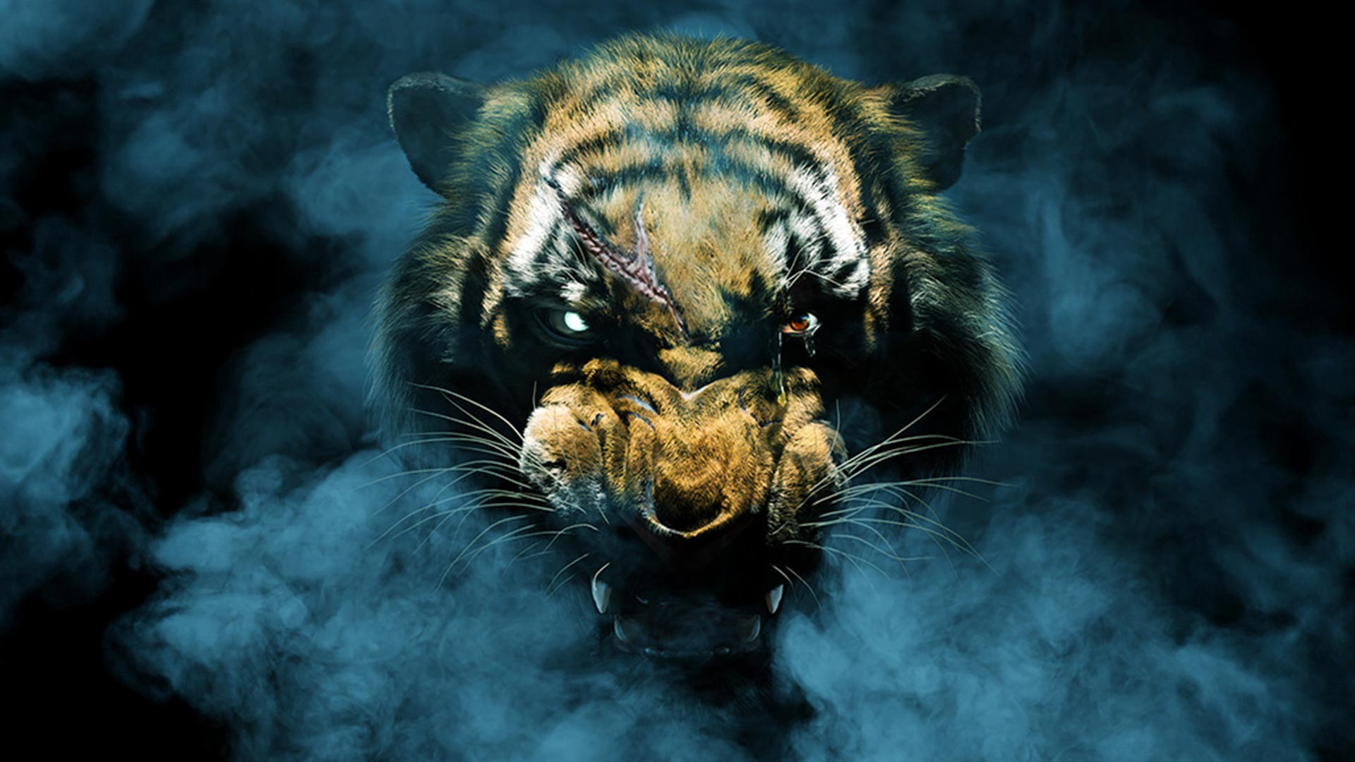 JioHotstar - Watch TV Shows, Movies, Specials, Live Cricket & Football