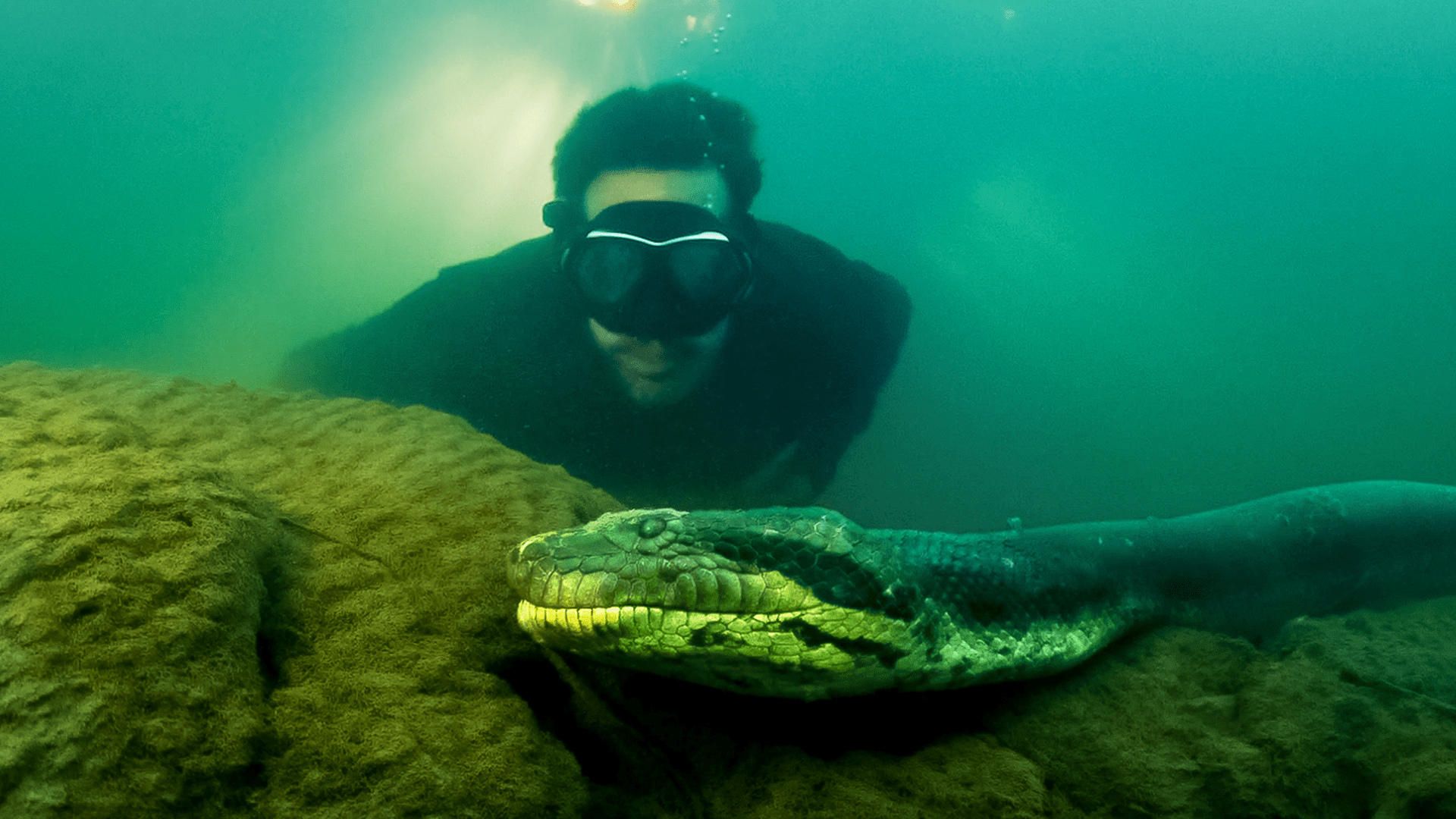 David Blaine Do Not Attempt - Disney+