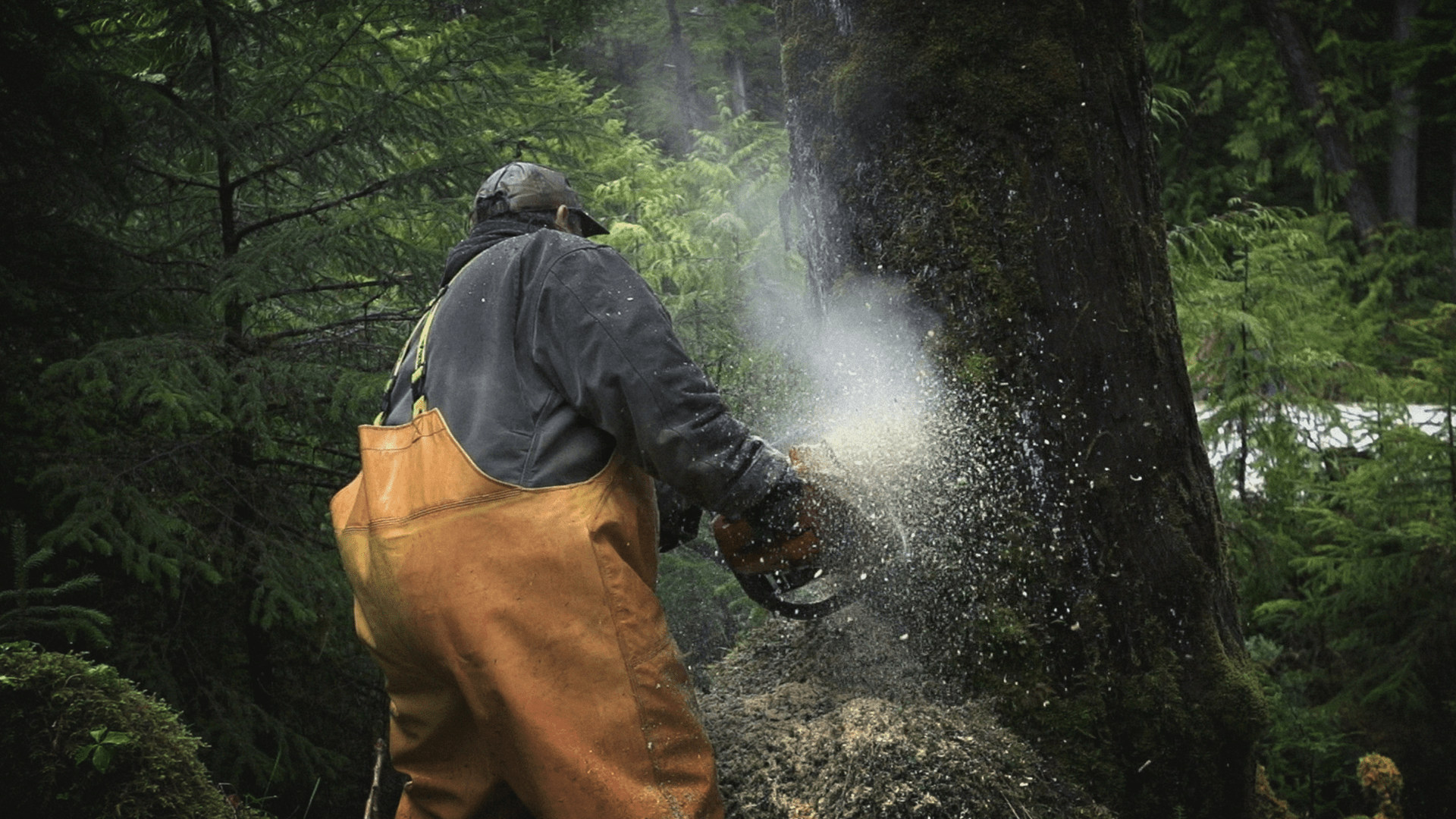 Port Protection Alaska - Disney+