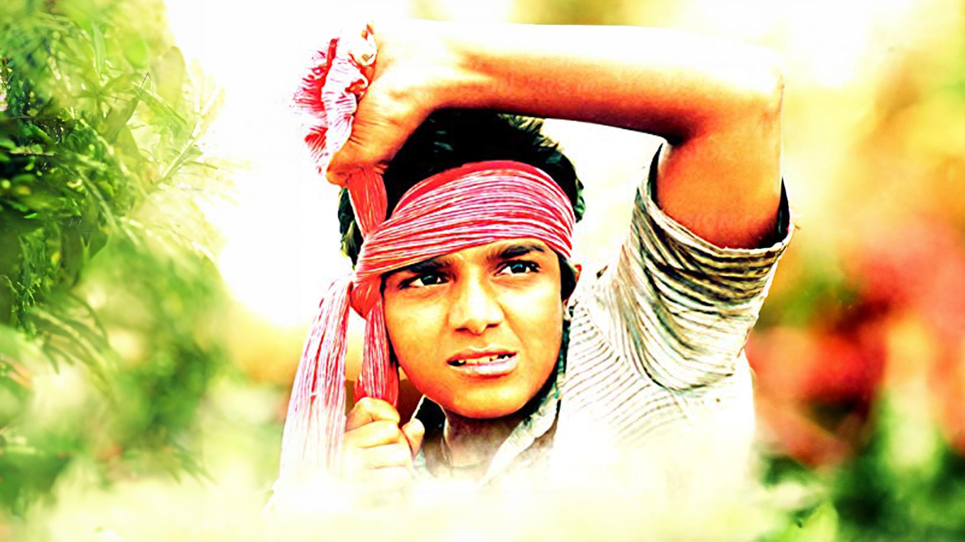 JioHotstar - Watch TV Shows, Movies, Specials, Live Cricket & Football