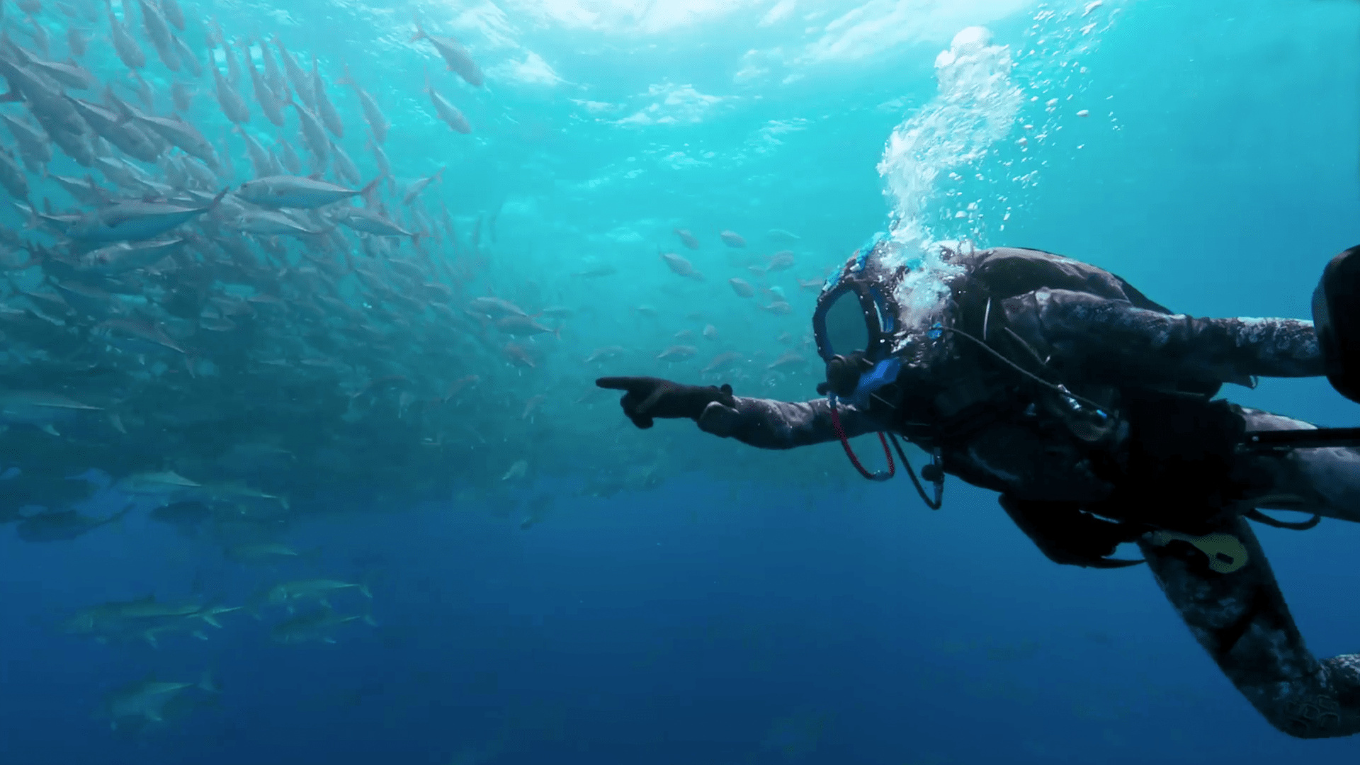 Epic Adventures with Bertie Gregory on Disney+ Iraq | English Spanish ...