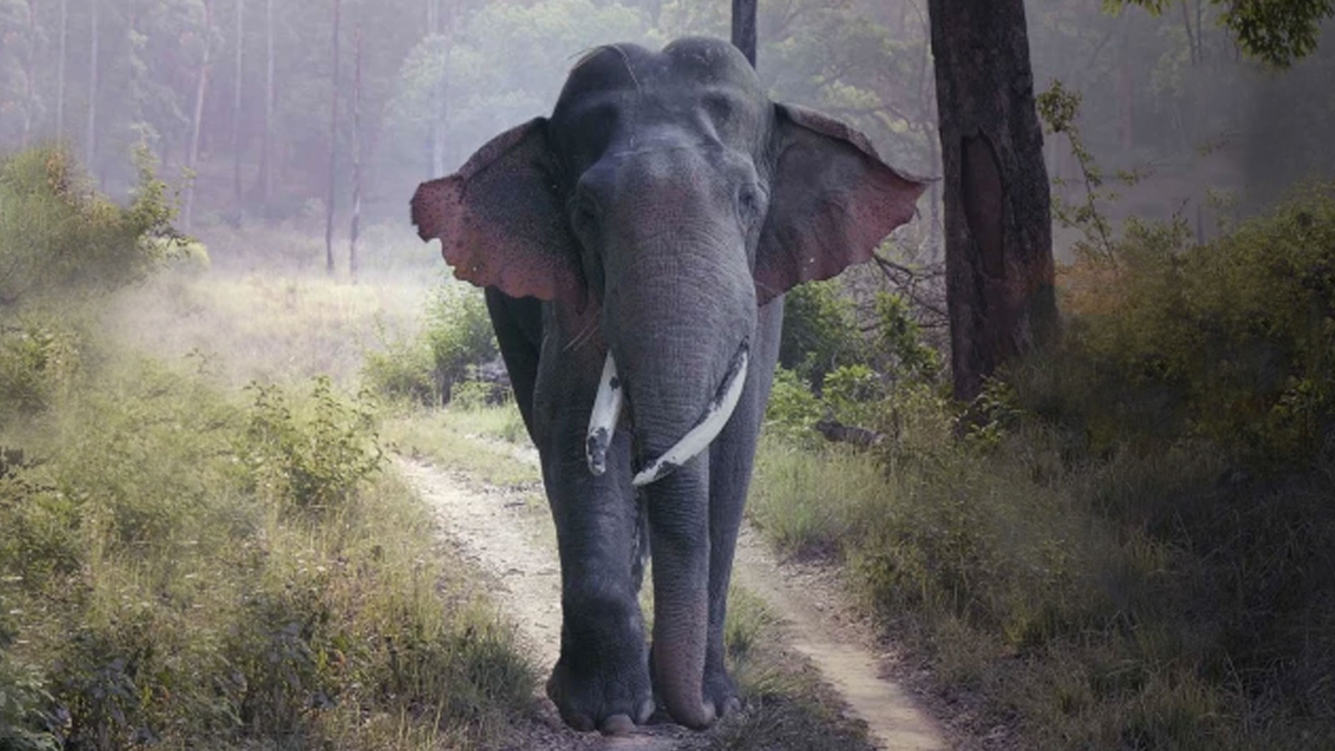 JioHotstar - Watch TV Shows, Movies, Specials, Live Cricket & Football