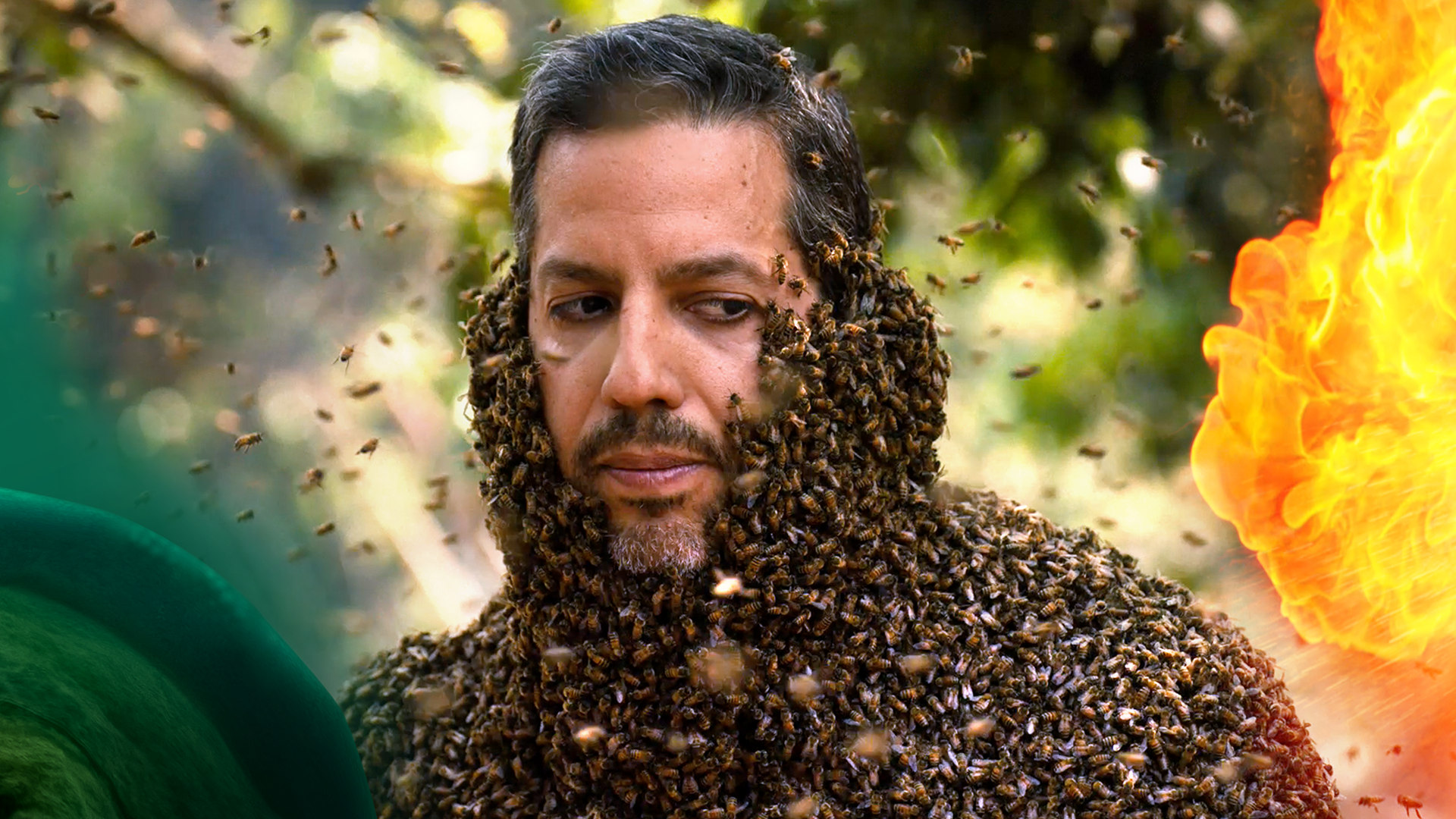 David Blaine Do Not Attempt on Disney+ United Arab Emirates | English ...