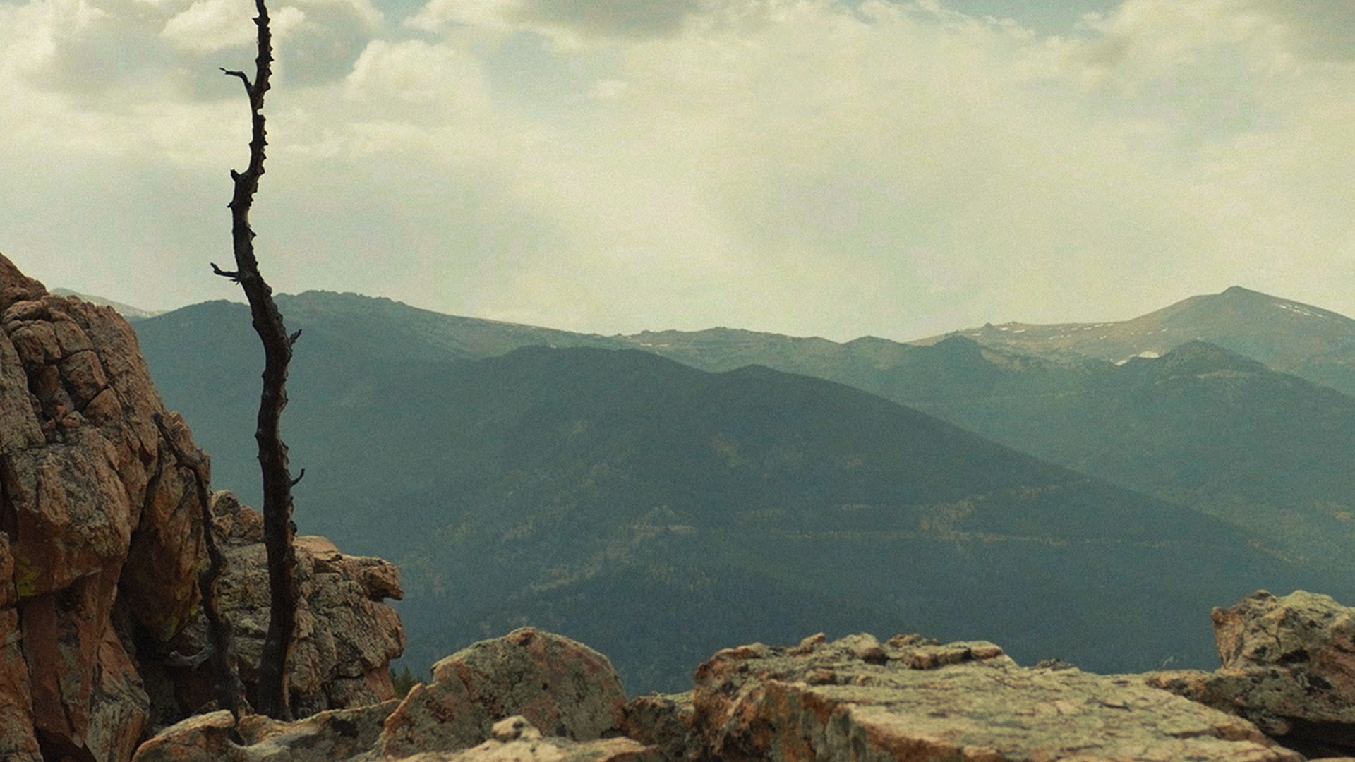 WILD CRIME Crime Documentary Series, now streaming on Disney+ Hotstar