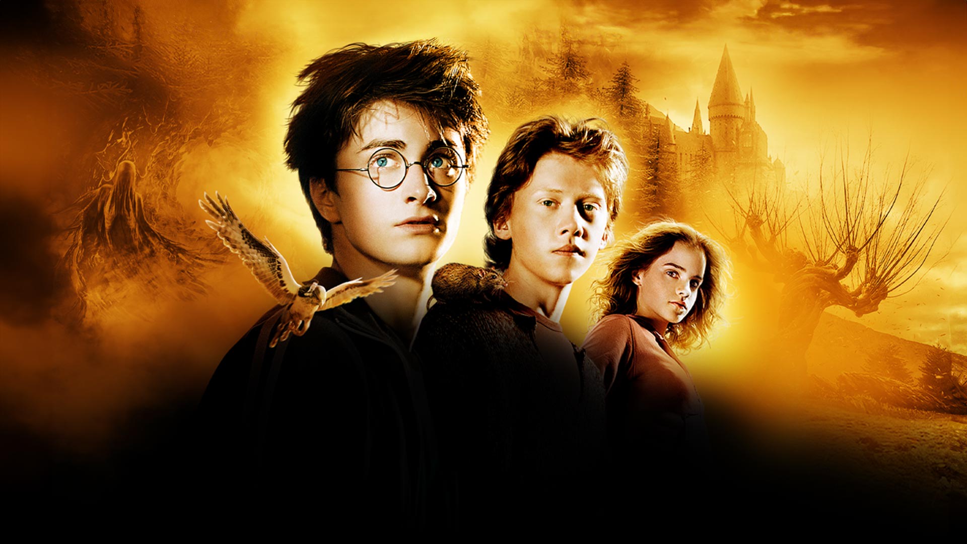 JioHotstar - Watch TV Shows, Movies, Specials, Live Cricket & Football