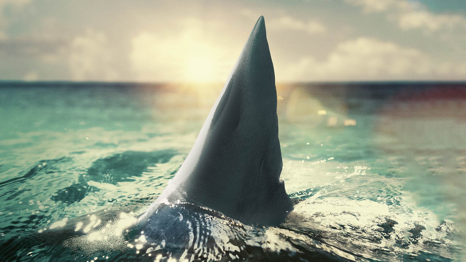 When Sharks Attack 360 - Disney+