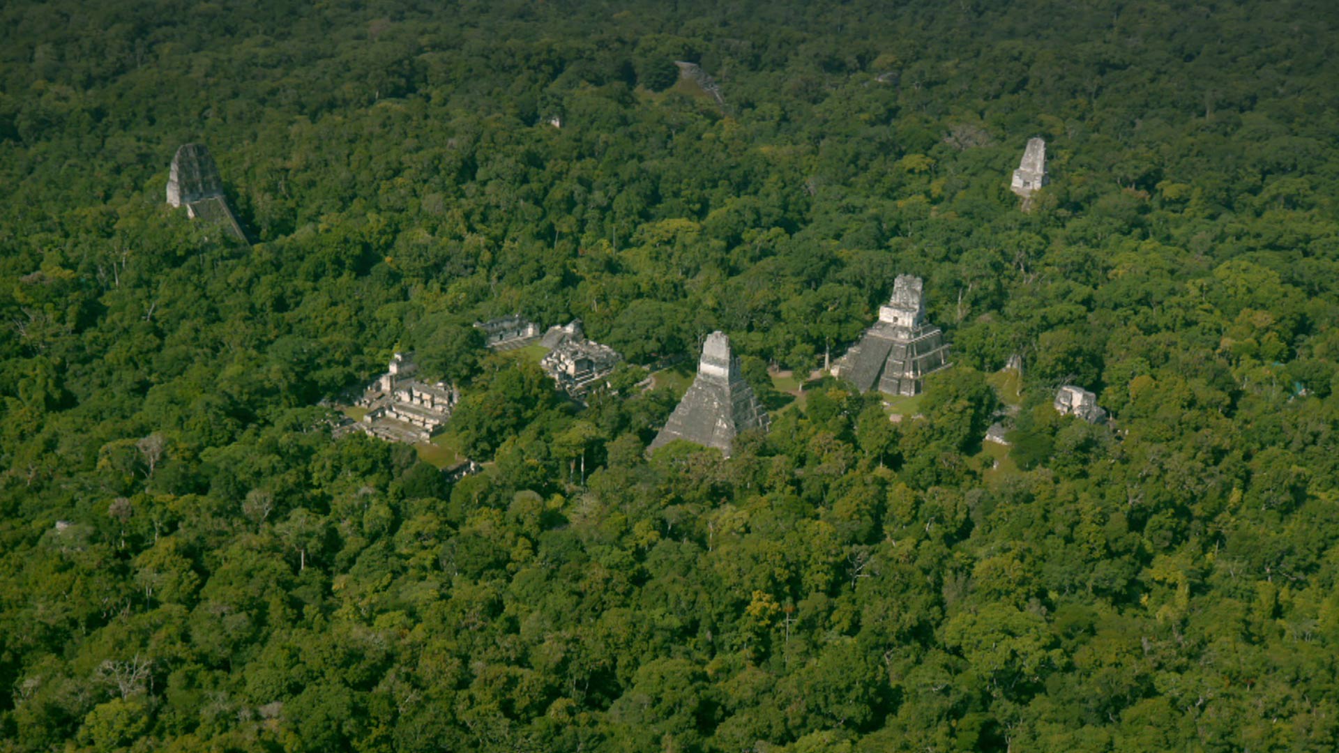 Lost Treasures of the Maya on Disney+ South Africa | English French ...