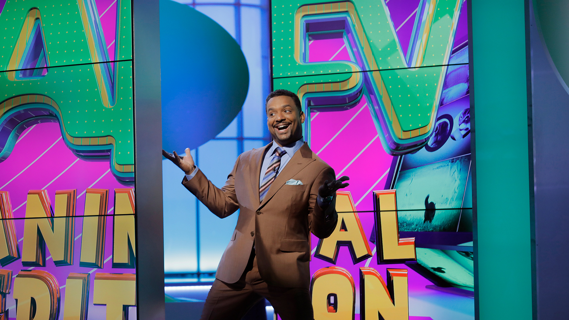 America's Funniest Home Videos: Animal Edition - Disney+