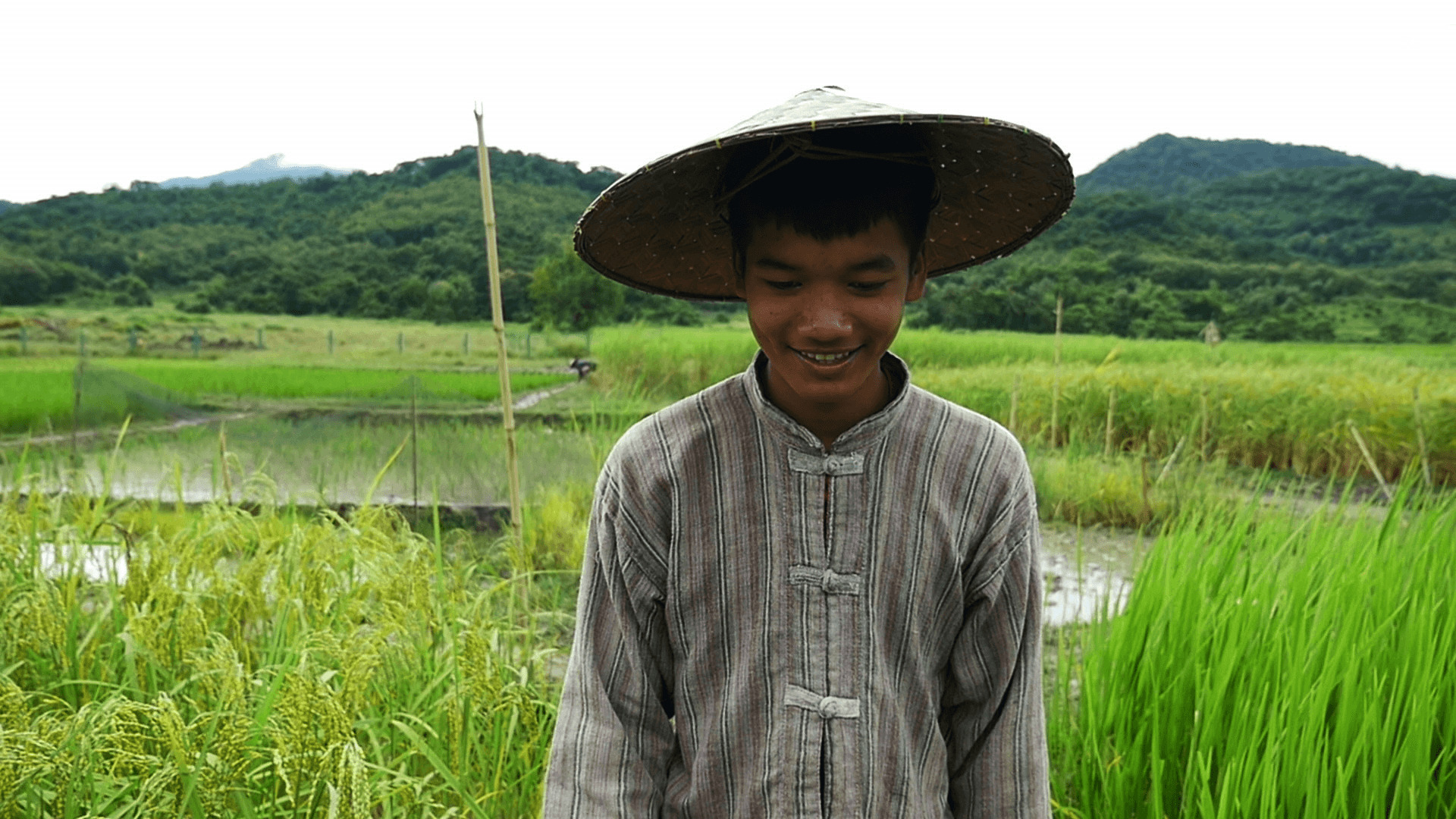 Destination World - Disney+