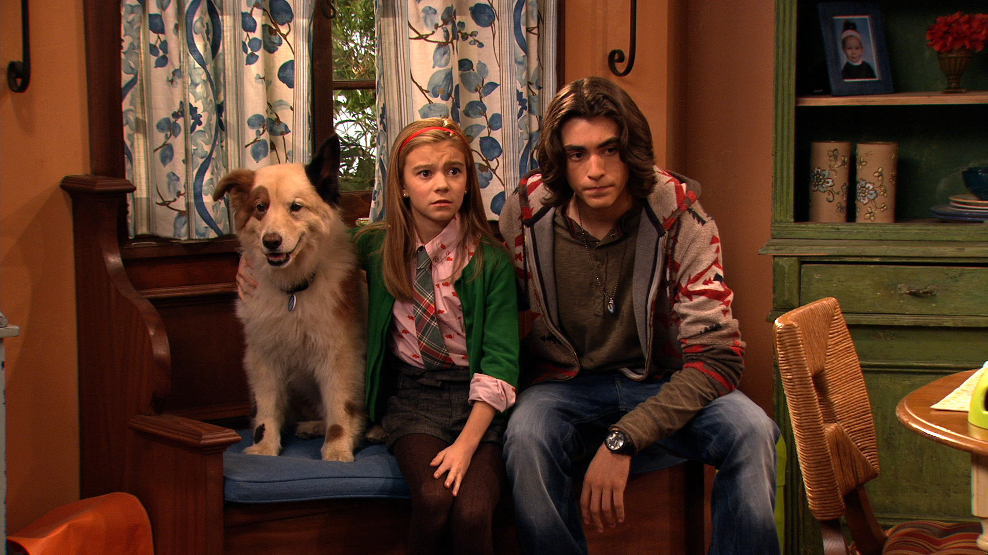 Dog With a Blog - Disney+