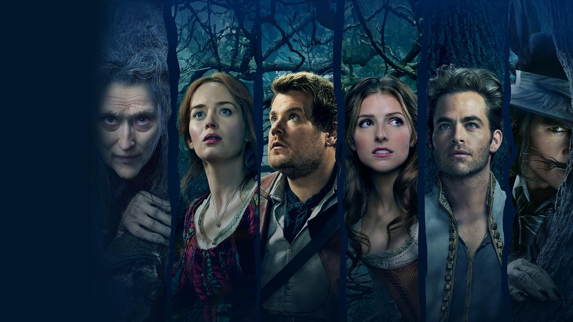 Into the Woods on Disney+ United Arab Emirates | English German Spanish ...