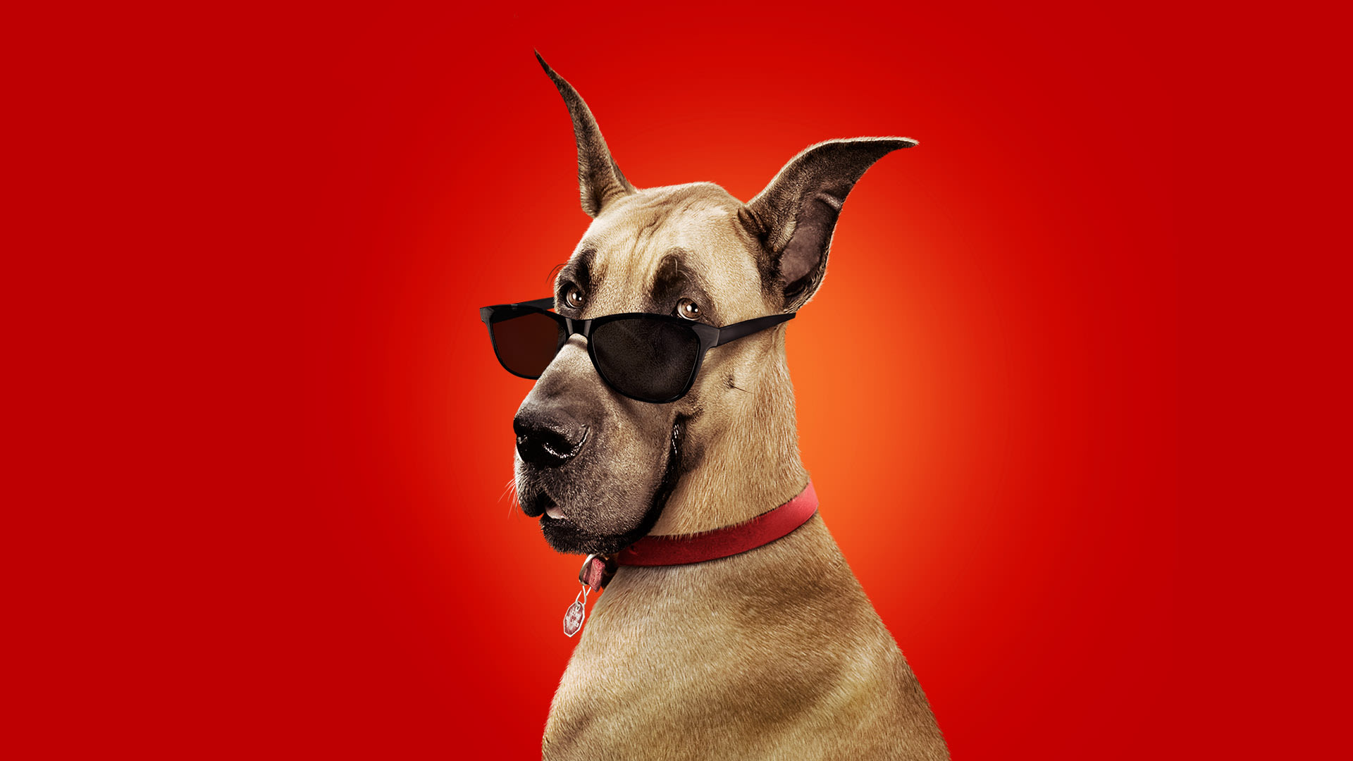 Marmaduke - Disney+ Hotstar