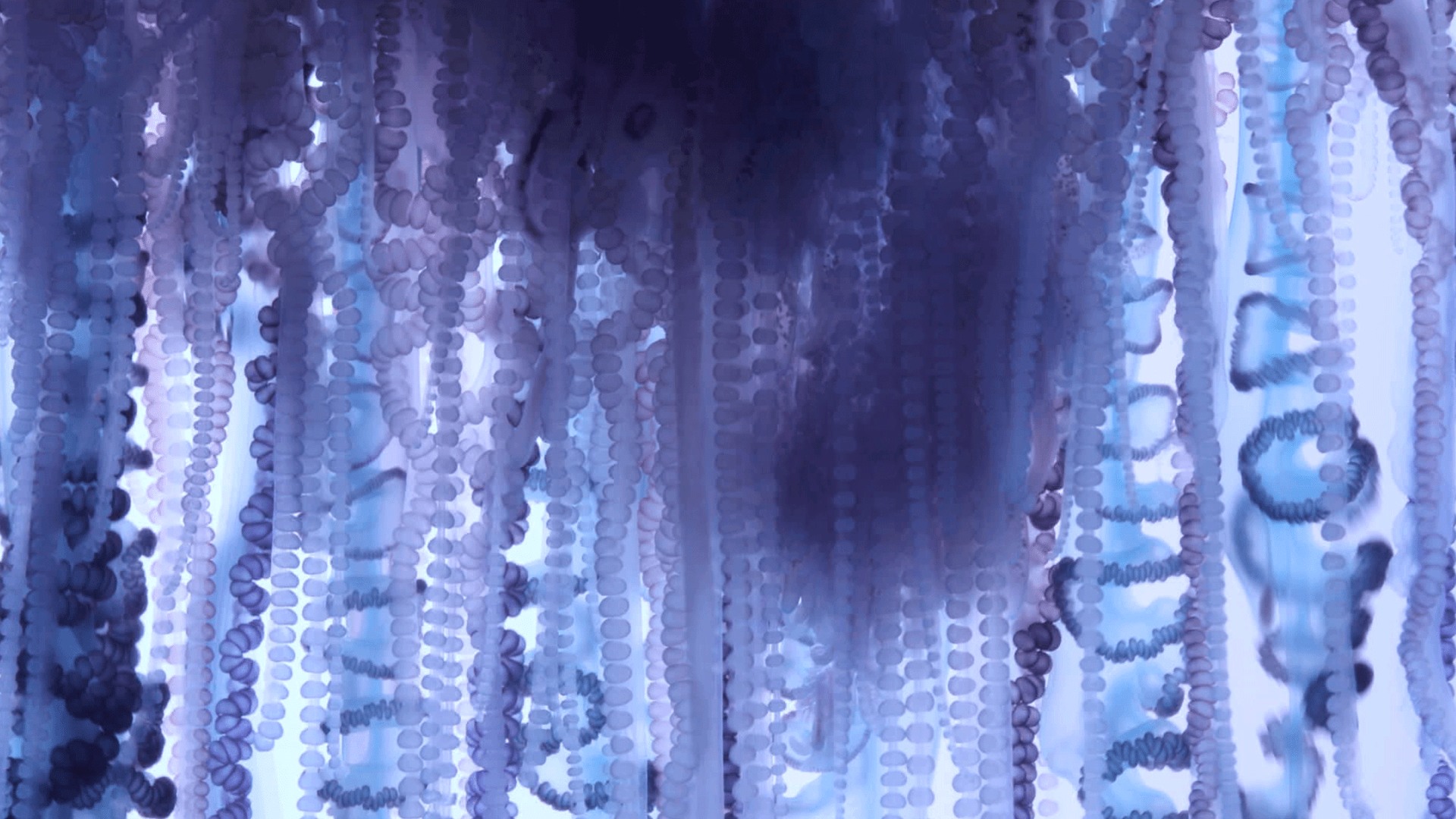 One Strange Rock - Disney+