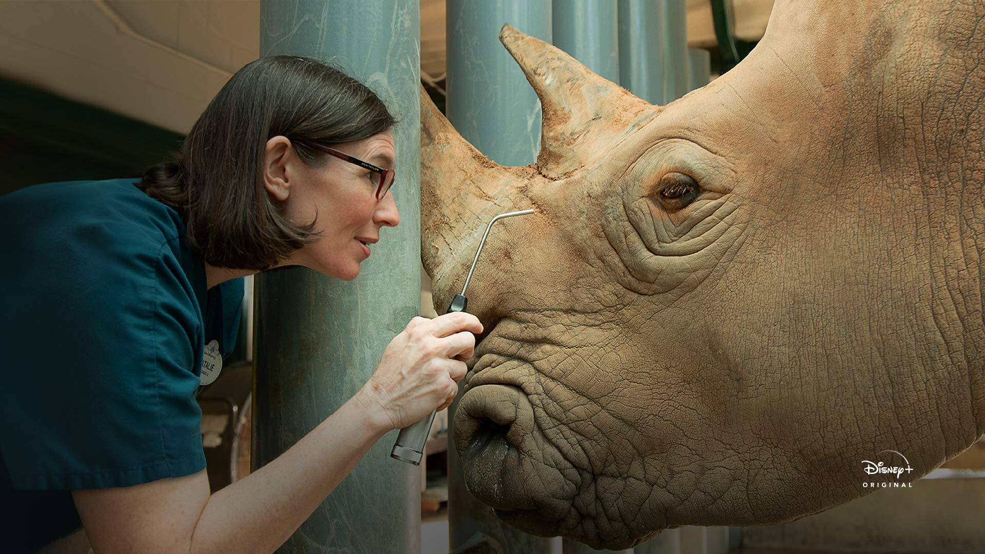 One Day at Disney - Disney+