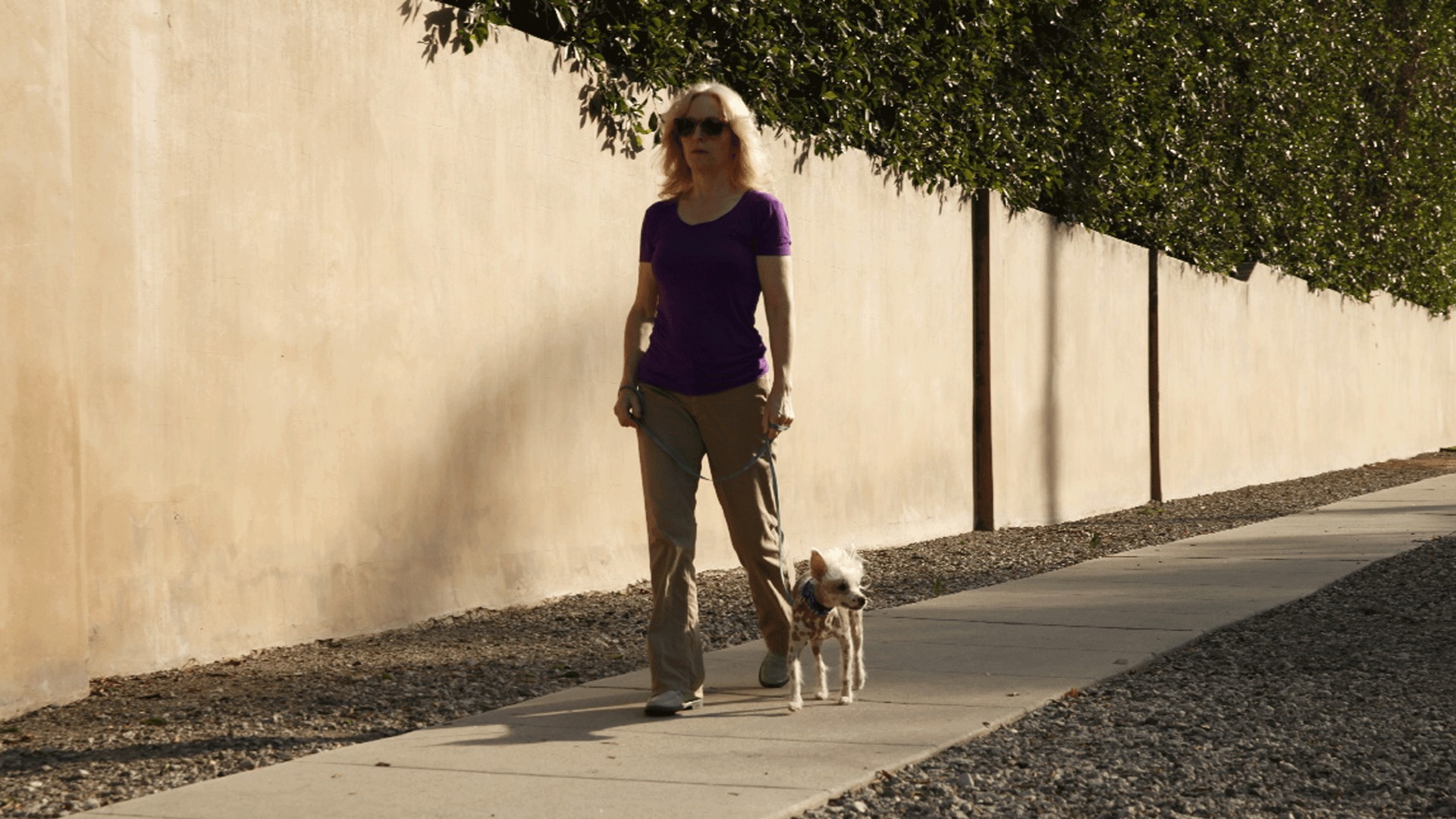 Dog: Impossible - Disney+