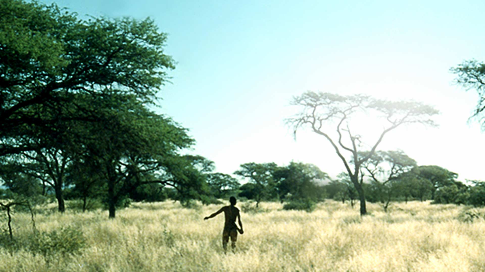 The Gods Must Be Crazy II on Disney+ South Africa | English French ...