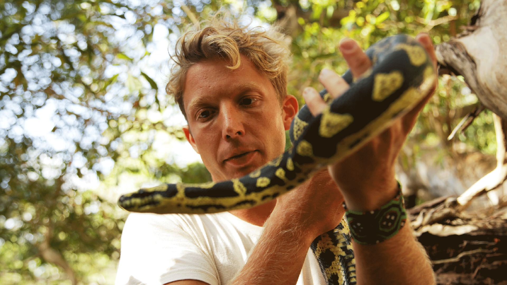 Fearless Adventures with Jack Randall - Disney+