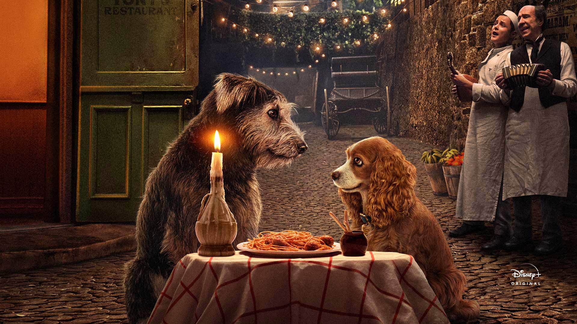 JioHotstar - Watch TV Shows, Movies, Specials, Live Cricket & Football