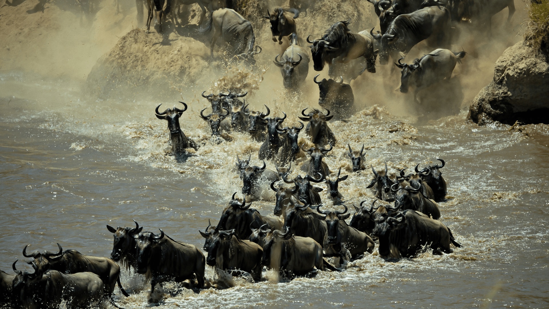 Welcome to Earth - Disney+