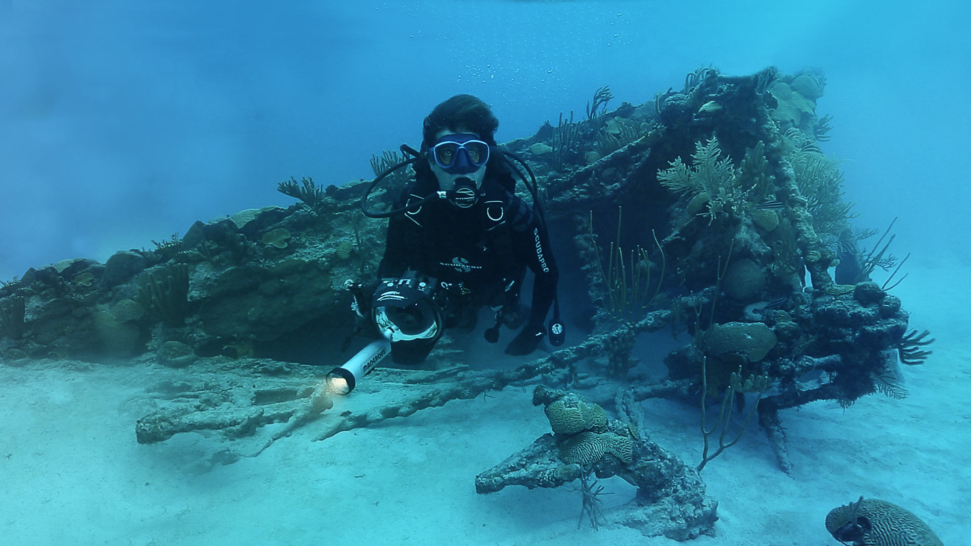 לחשוף את משולש ברמודה - Disney+