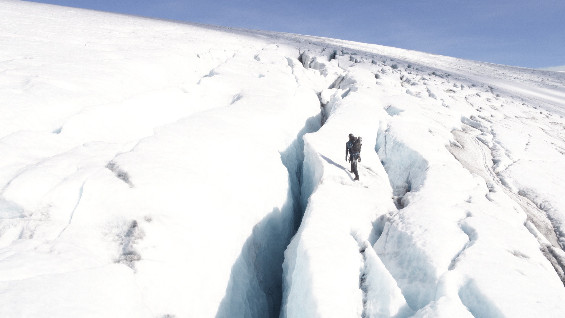 Wild Nordic - Disney+