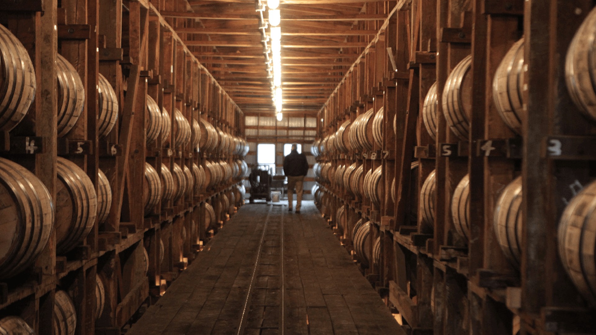 Made in a Day - Disney+