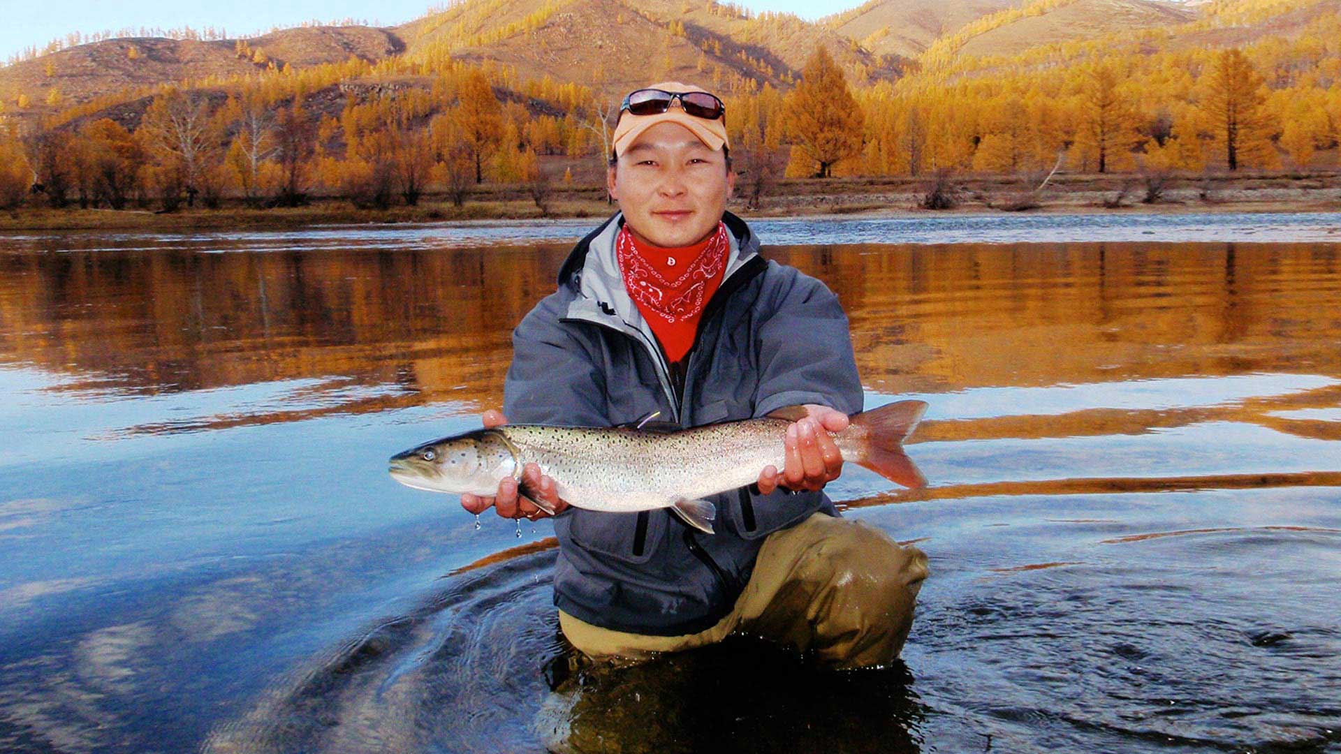 JioHotstar - Watch TV Shows, Movies, Specials, Live Cricket & Football