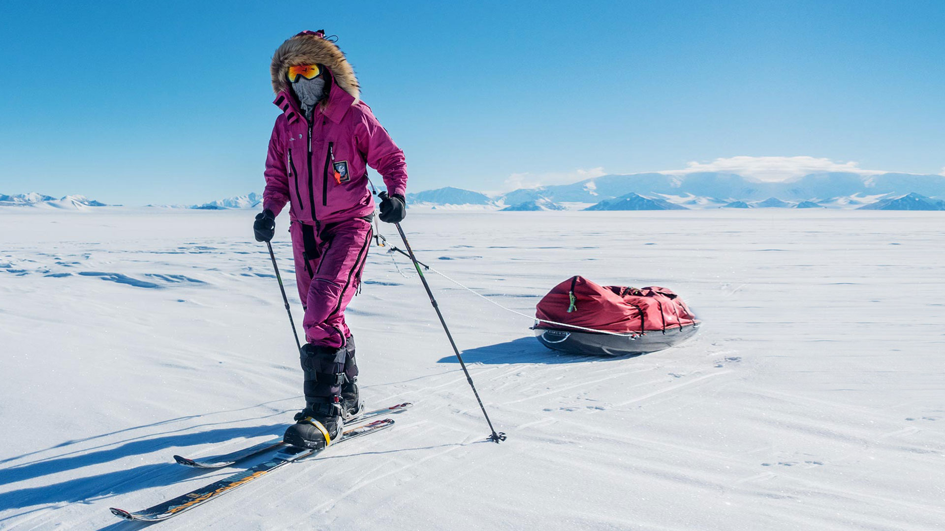 Best Job Ever - Disney+