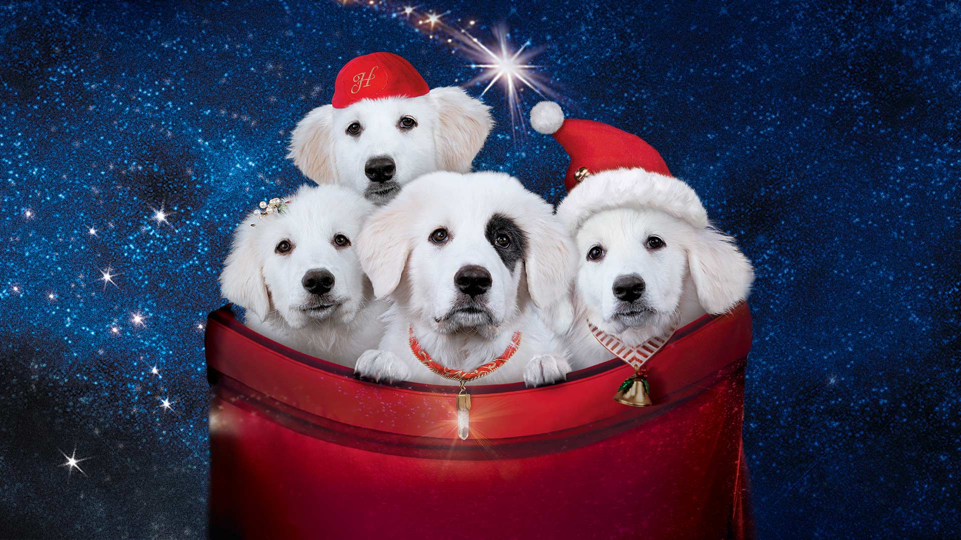 Santa Paws 2: The Santa Pups - Disney+