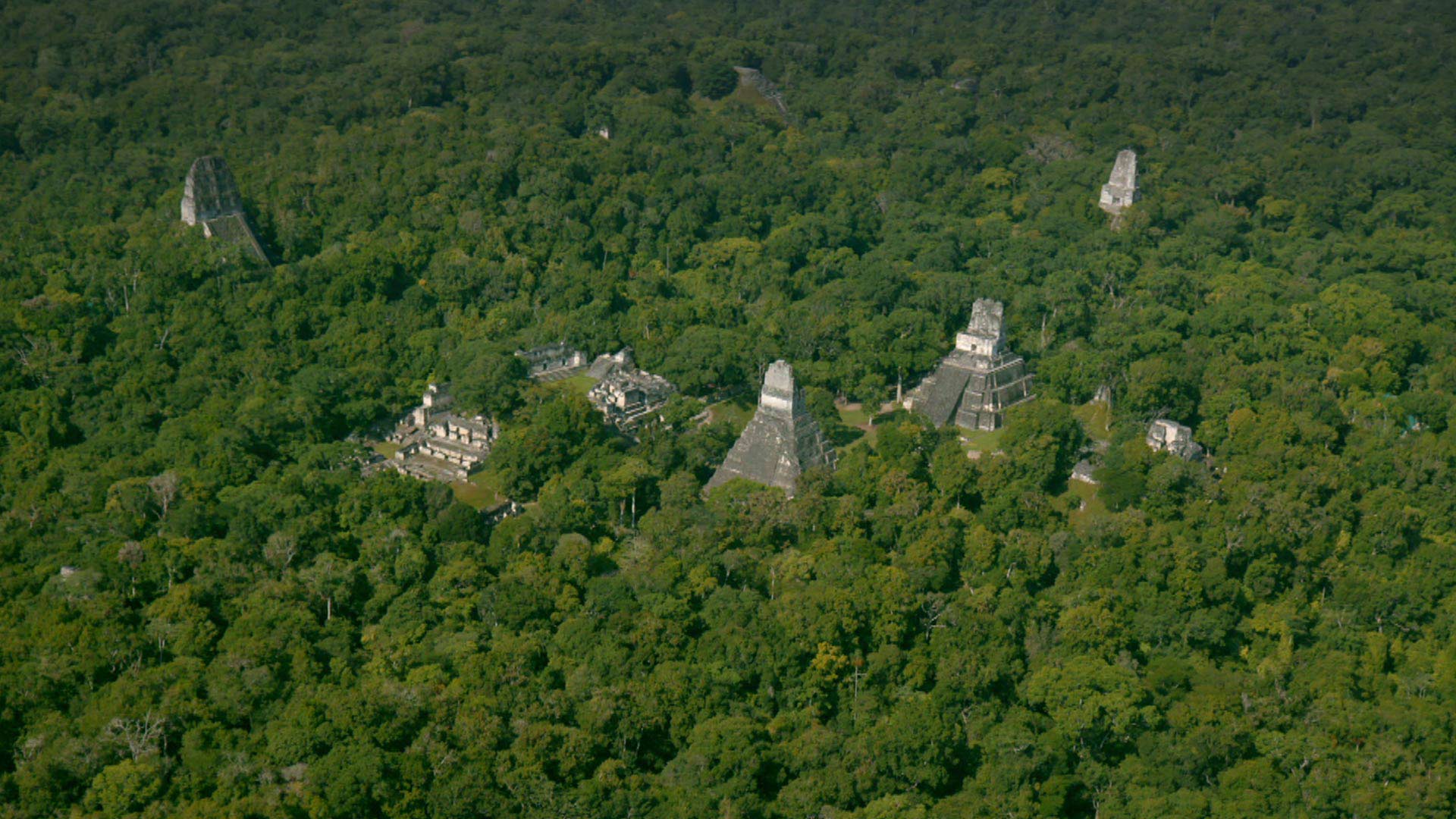 Lost Treasures of the Maya - Disney+